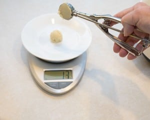 Vanilla Dreams - The Experiment - Pudge Factor