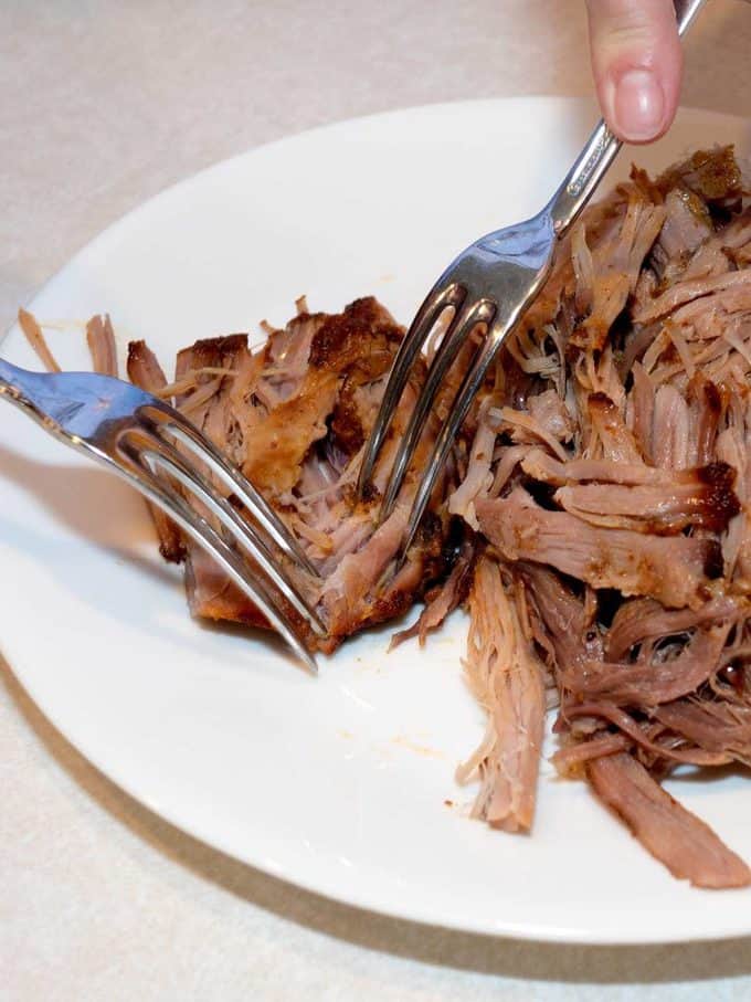 Slow Roasted Pulled Pork - Pudge Factor