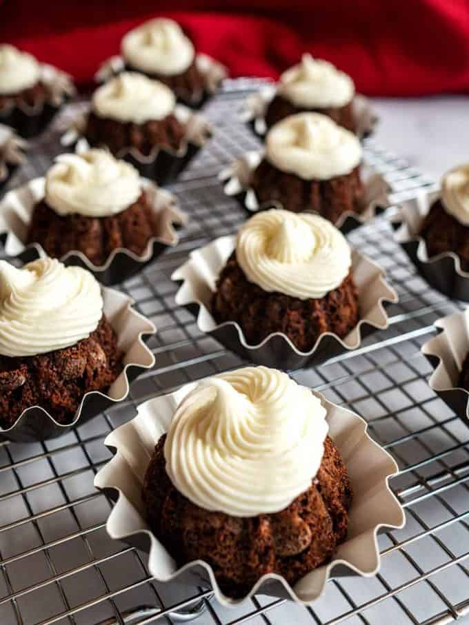 Copycat Chocolate Chocolate Chip Bundtinis - Pudge Factor