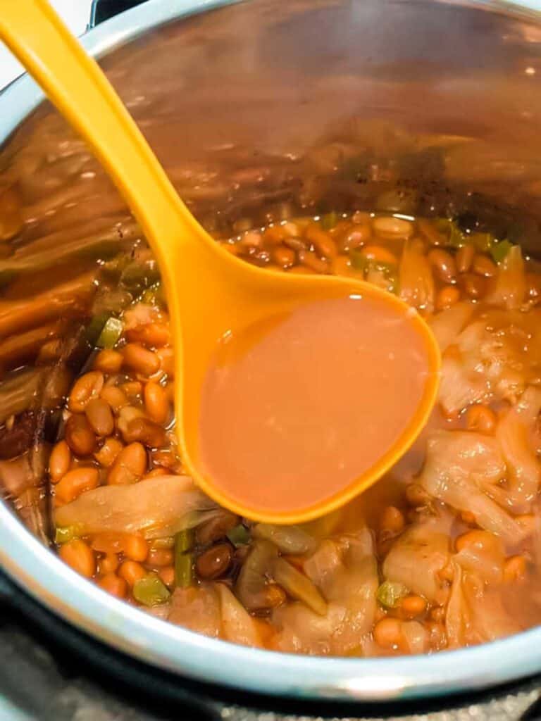 Instant Pot Mexican Smashed Pinto Beans - Pudge Factor