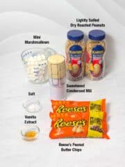 Easy Copycat Payday Candy Bars - Pudge Factor