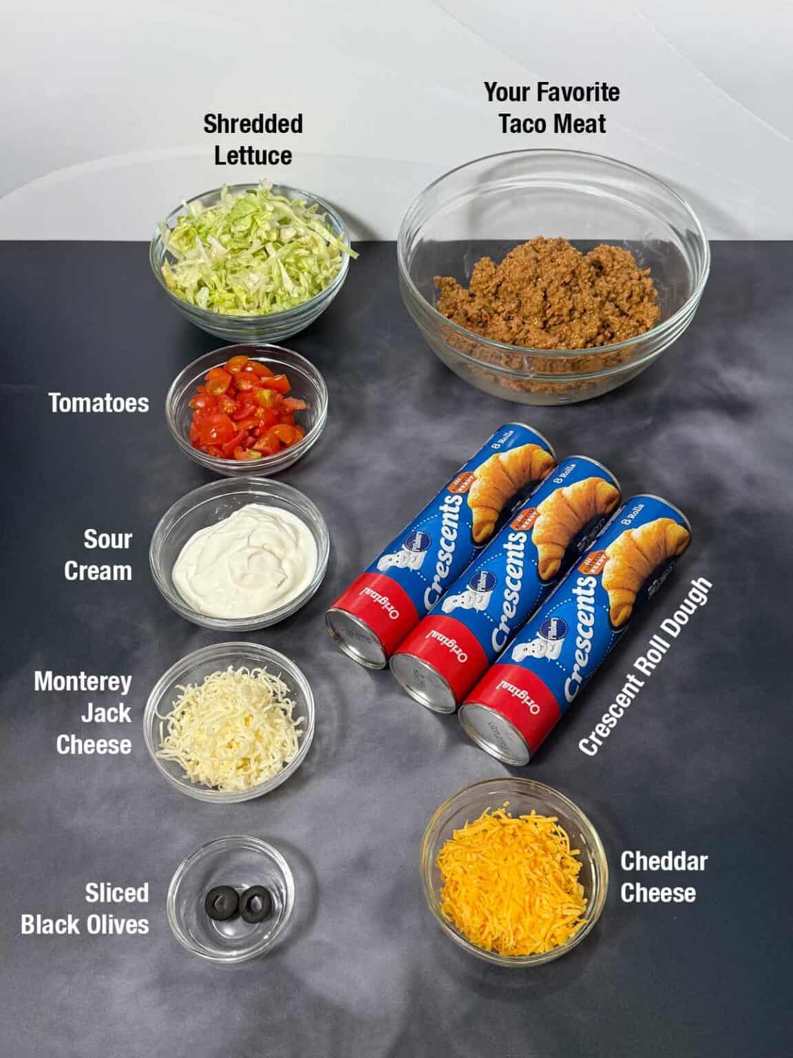 Spooky Spider Taco Ring - Pudge Factor