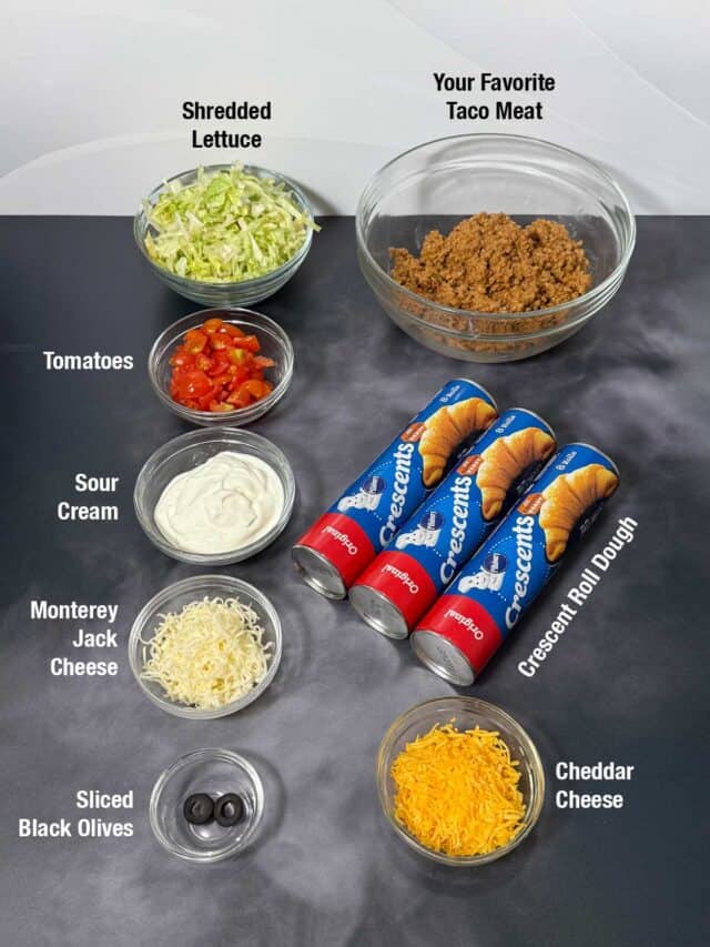 Spooky Spider Taco Ring - Pudge Factor