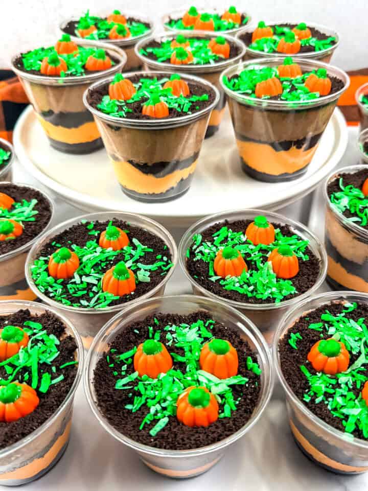 Easy No-Bake Pumpkin Patch Dirt Cups - Pudge Factor